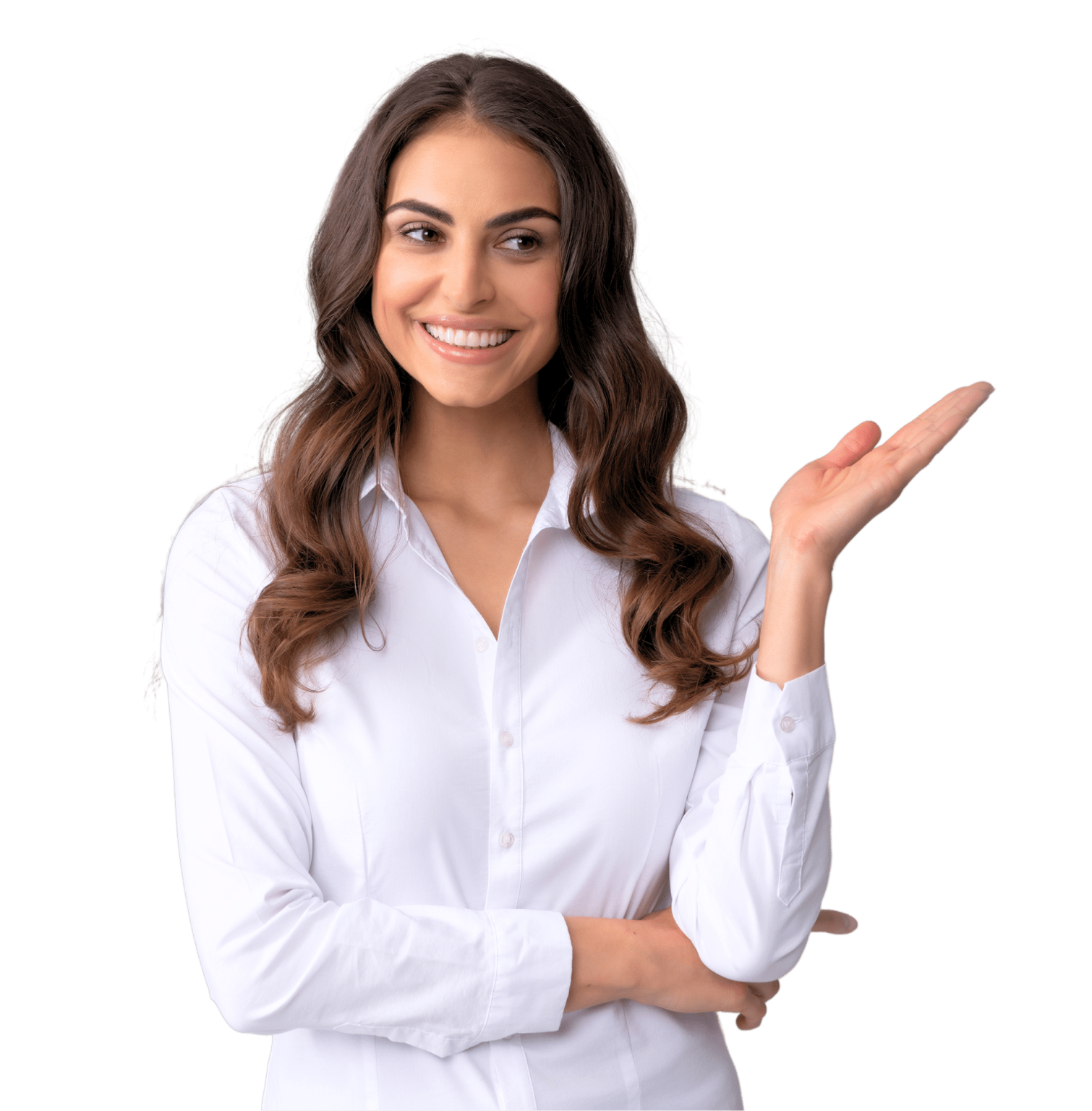 מברשת אפיה "2 מקצועית יד` עץ WPB-2 (בקר12) למוסדות, - גל יסמין שיווק והפצה